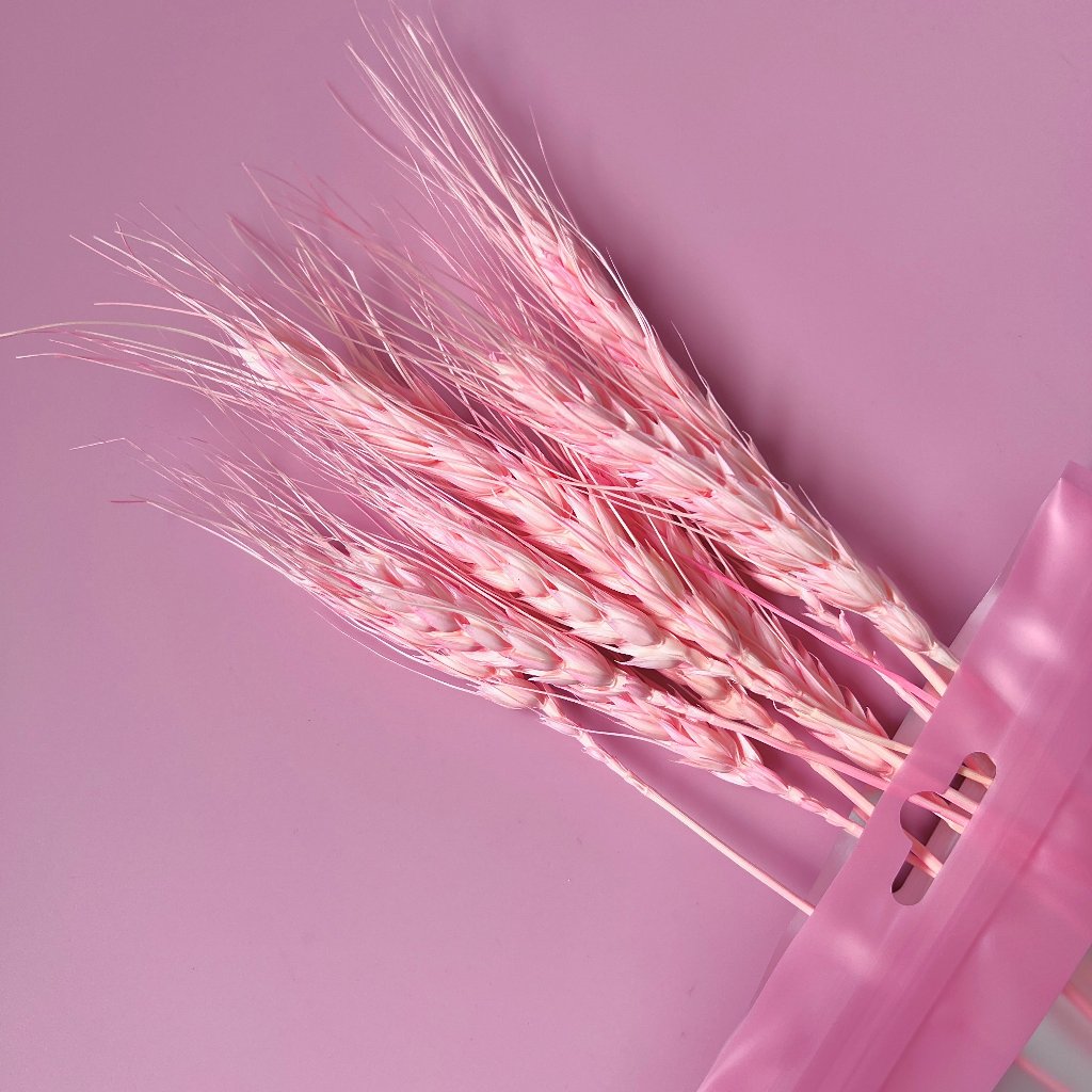 Dried Flower Cake Toppers - Wheat Blush | Cakers Paradise – Cakers Paradise