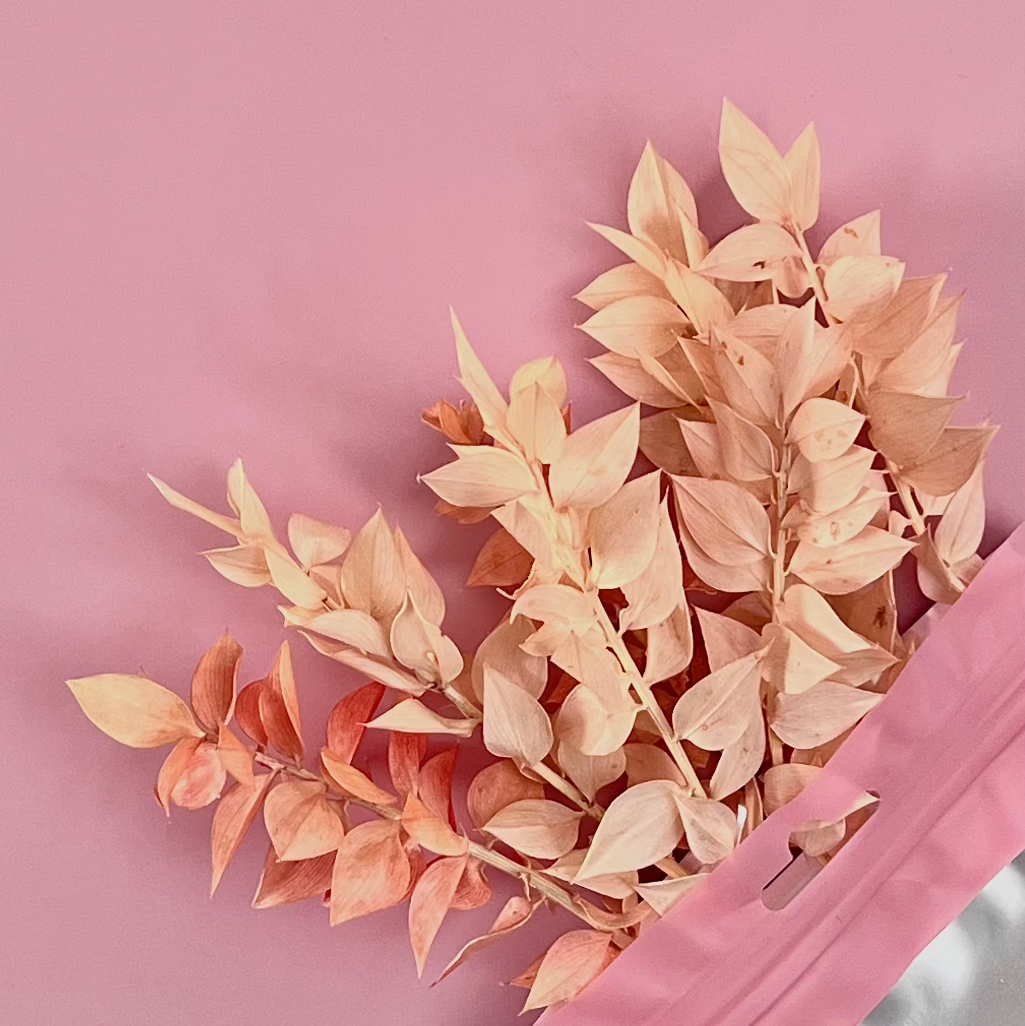 Dried Natural Ruscus Cupcake Toppers - Pink | Cakers Paradise – Cakers ...